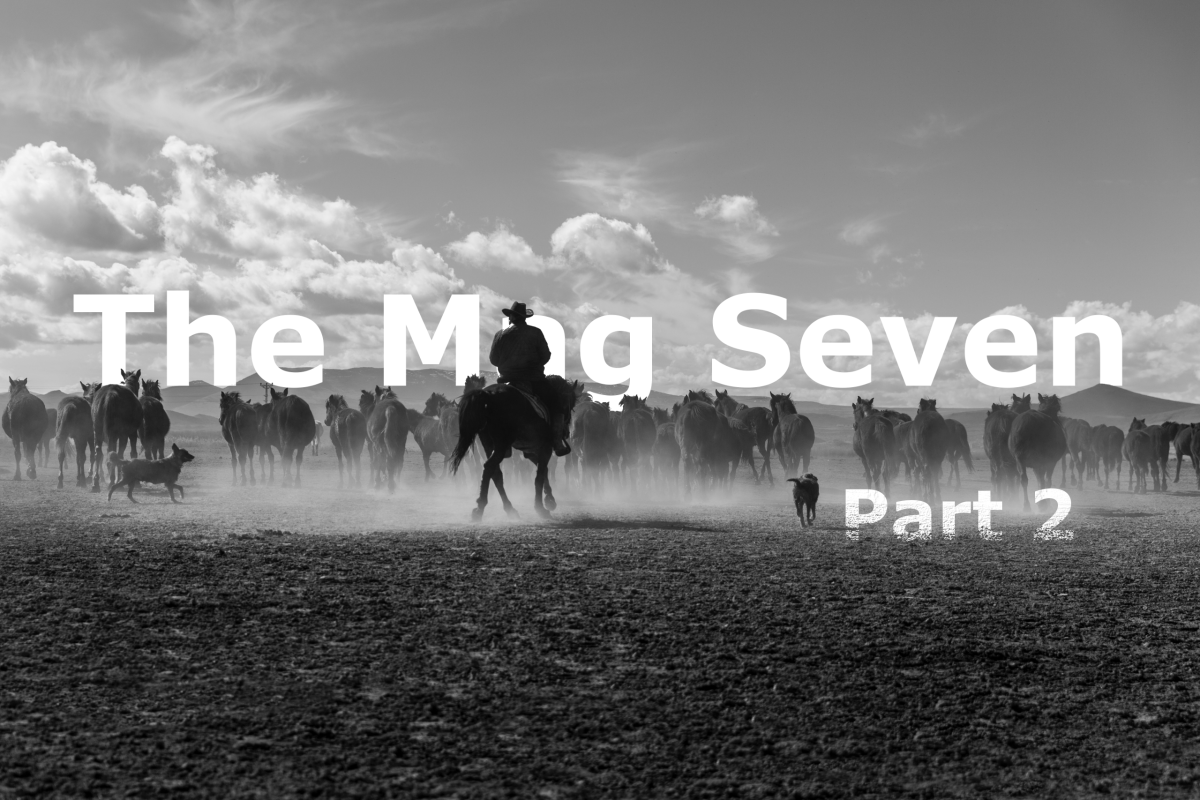 The Mag Seven (Part 2) – Grace in Waves