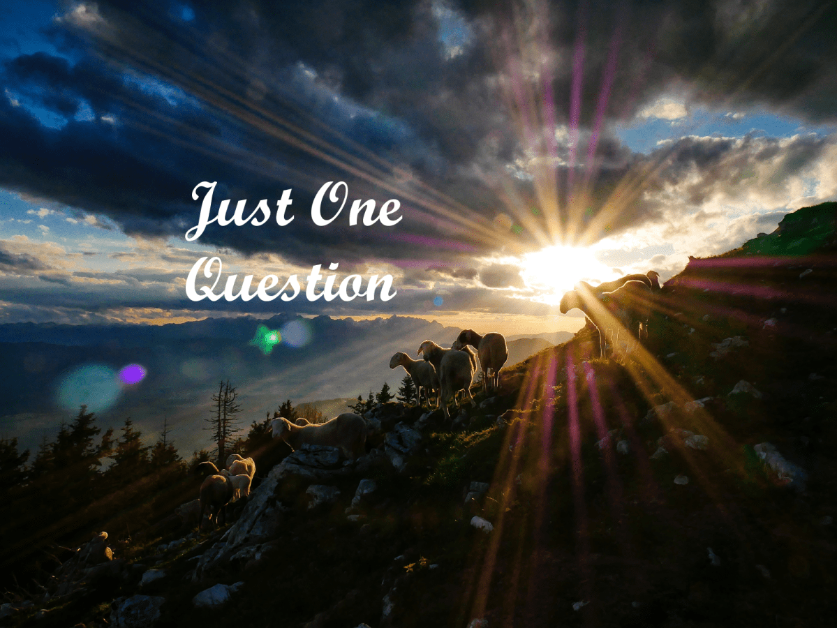 Just One Question – Grace in Waves