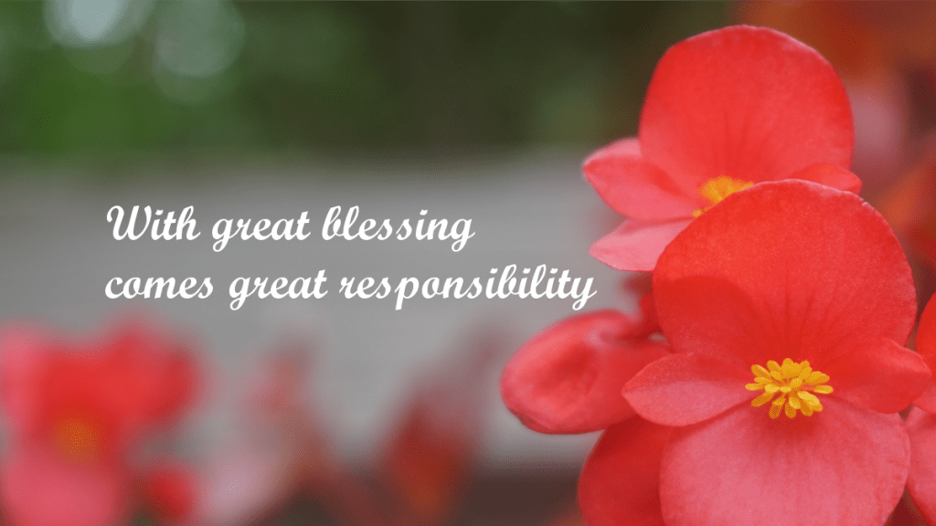 With great blessing comes great responsibility – Grace in Waves